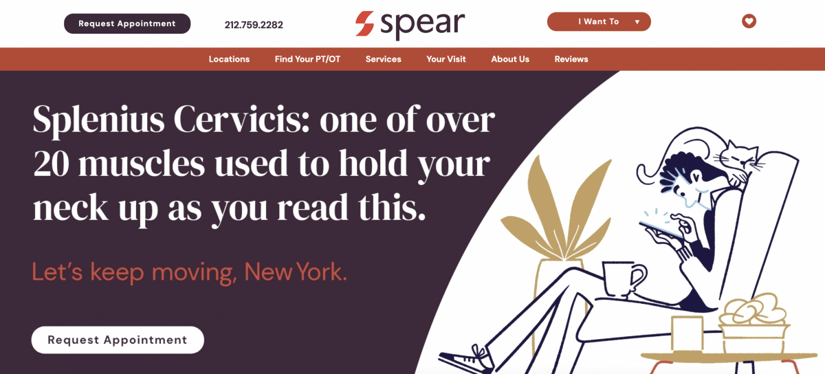 Physiotherapy Website Design Guide: Tips, Tools, and Examples ...